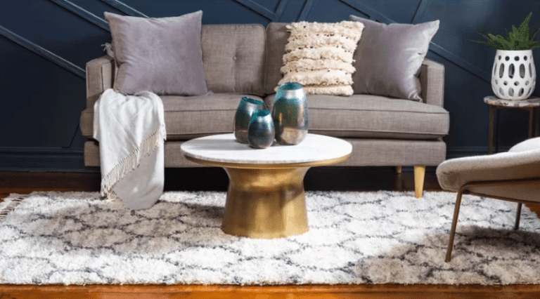 Neutral Area Rugs: The 25 Best Options For Your Living Room ️