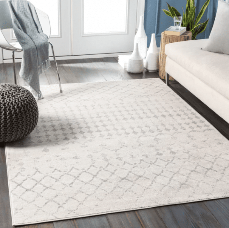 Neutral Area Rugs: The 25 Best Options For Your Living Room ️