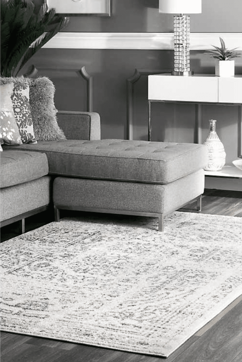 Neutral Area Rugs: The 25 Best Options For Your Living Room ️